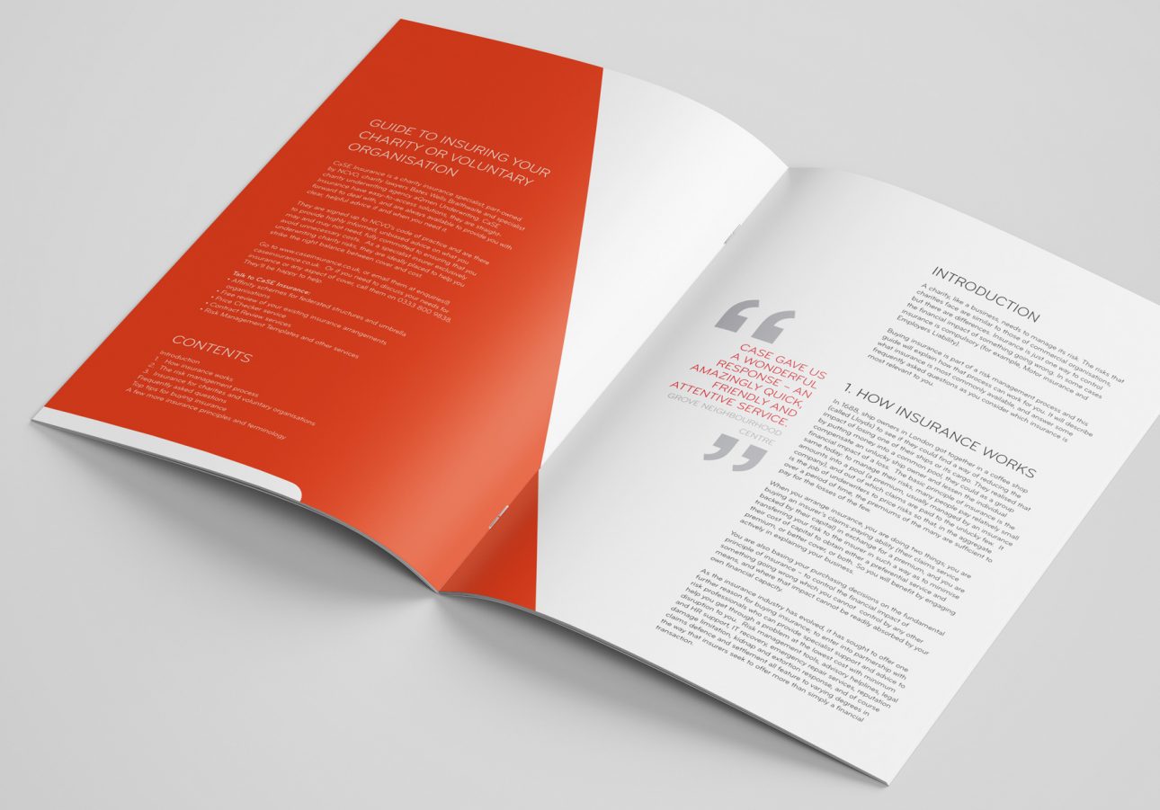 Case Insurance branding design - Creative Design Agency Surrey